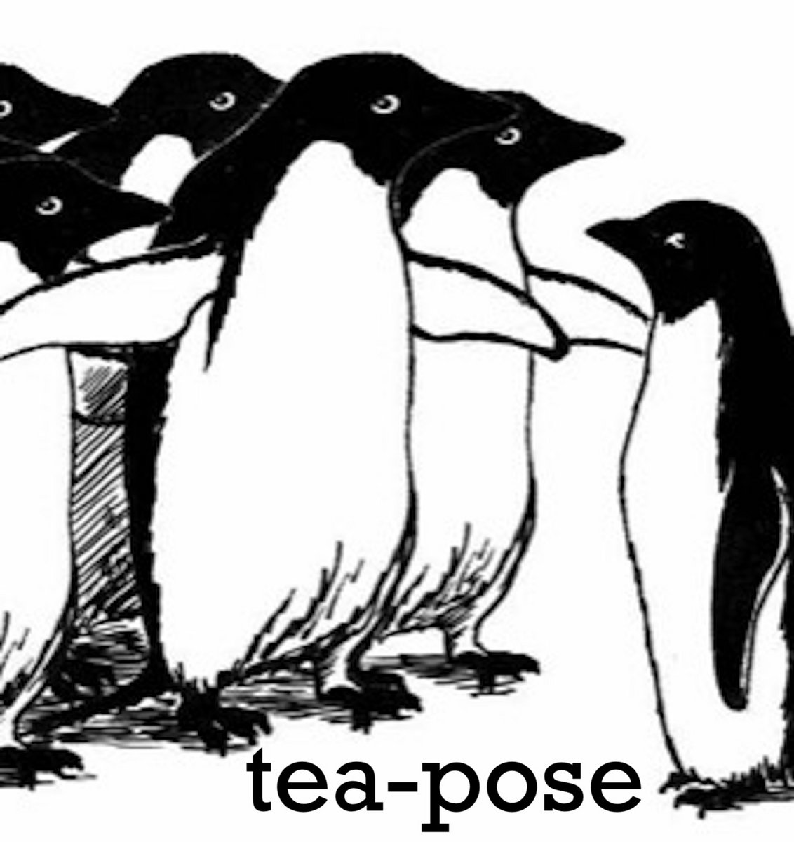 Tea-Pose | Tea-Pose