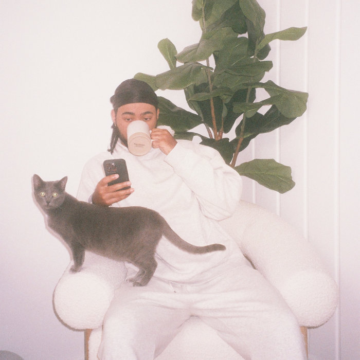 for all the cats | L.Dre
