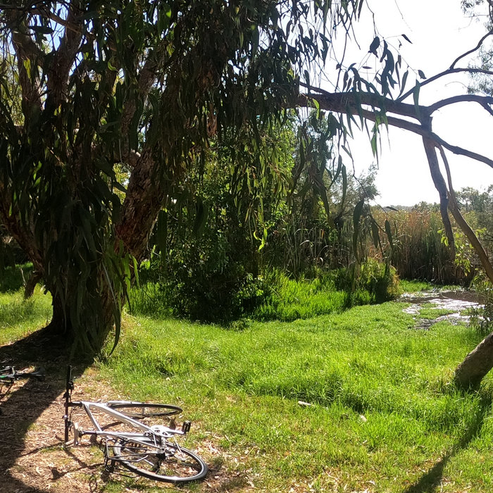 ft. KAYAK JONES | DEHNOE, L0k, Peter Panspermia, KAYAK JONES | KAYAK JONES