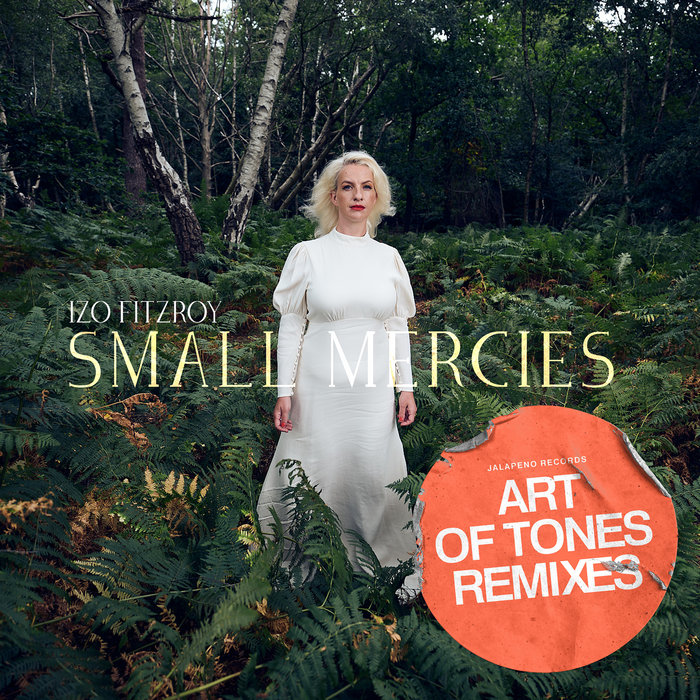 Small Mercies (Art Of Tones Remixes) | Izo FitzRoy