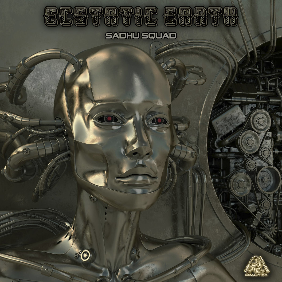 Sadhu Squad | Ecstatic Earth | Digital Drugs Coalition