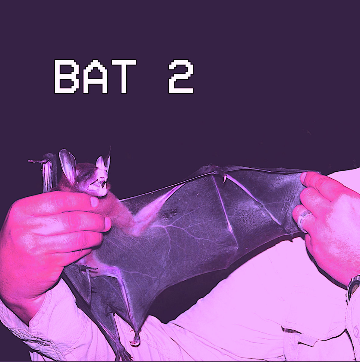 bat 2 | Bat People