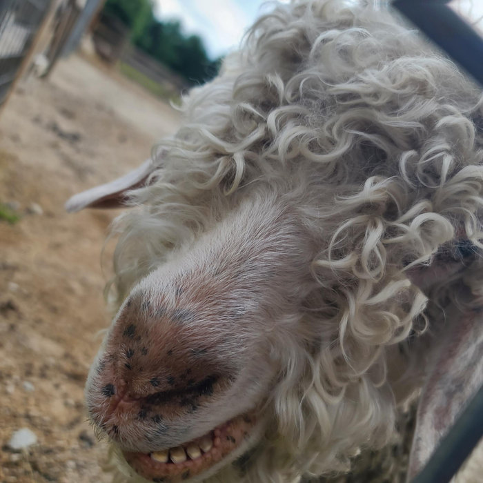 Bottle Free | Mark Hajjar