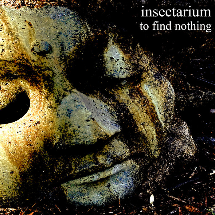 to find nothing | insectarium