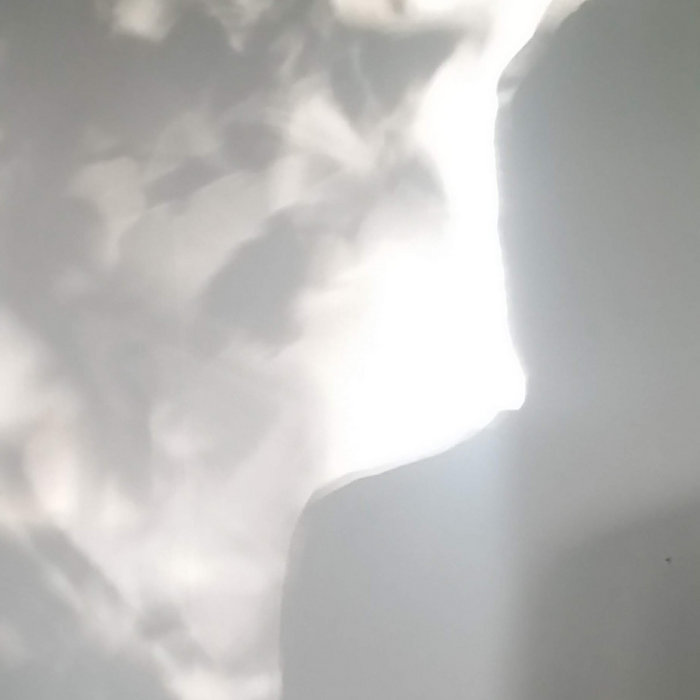 Raking Light | bracken