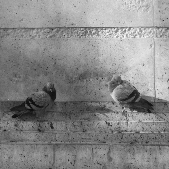 Cinc Segons | LeClerc