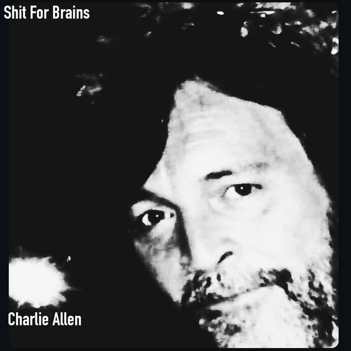Shit For Brains | Charlie Allen | Basement Corner Emissions