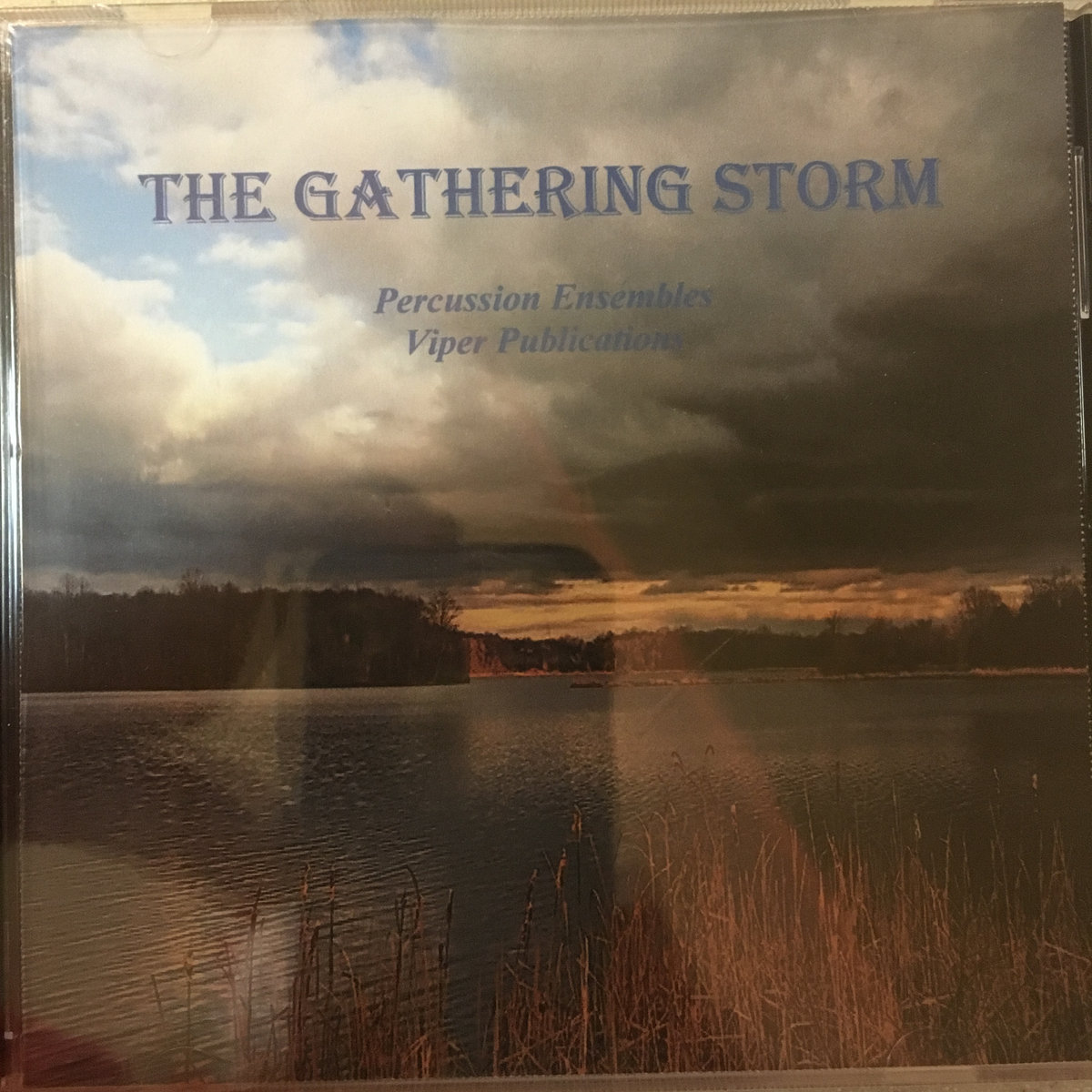 The Gathering Storm | Viper Publications