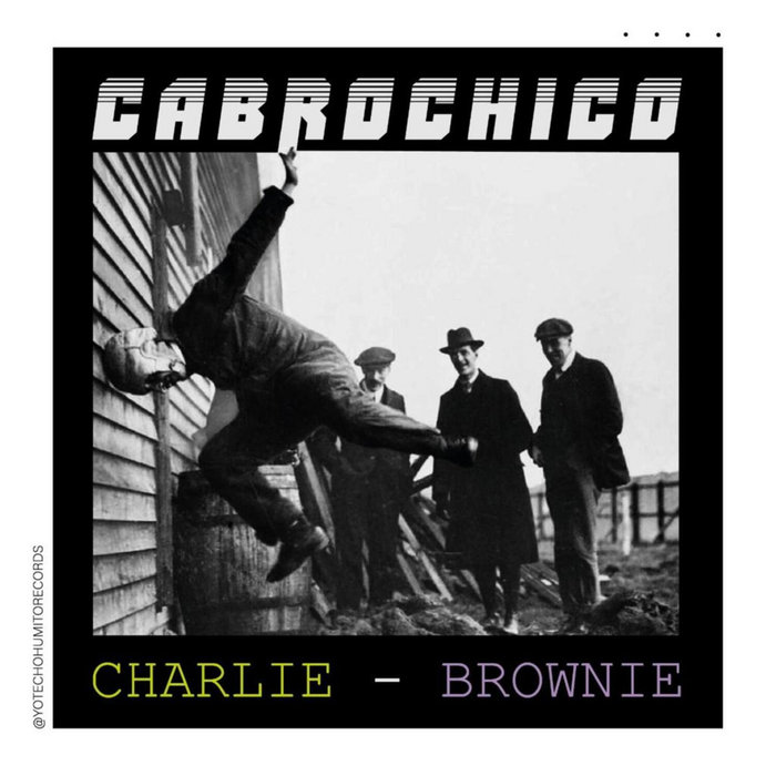 Charlie Brownie | CABROCHICO