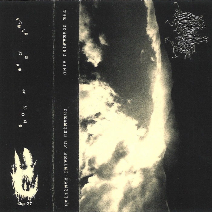 THE SCREAMING WIND "Dreaming Of Realms Familiar" | The Screaming Wind ...