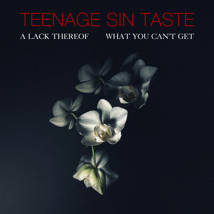 A Lack Thereof / What You Can't Get | TeenageSinTaste