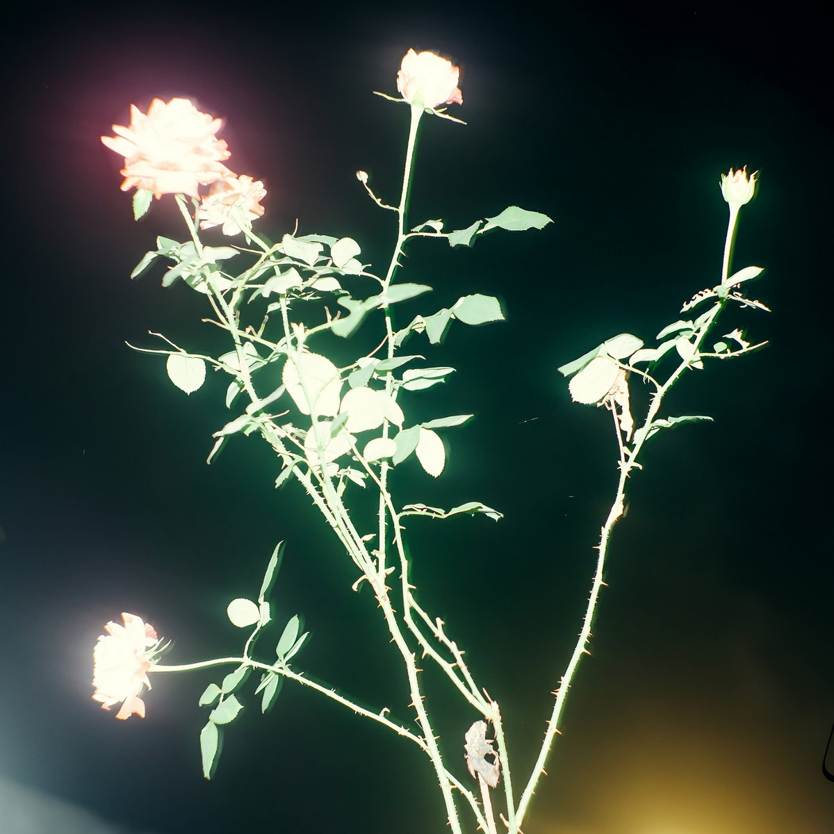 attic meditations v1 | Debjit Banerjee