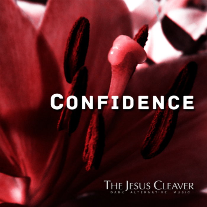 Confidence | The Jesus Cleaver