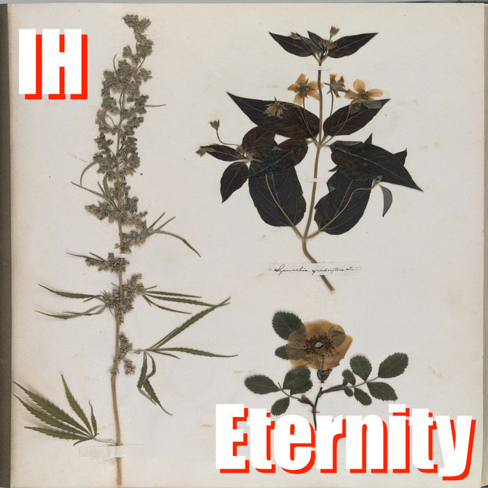 Eternity (Emily Dickinson) | Introducing Hagleton