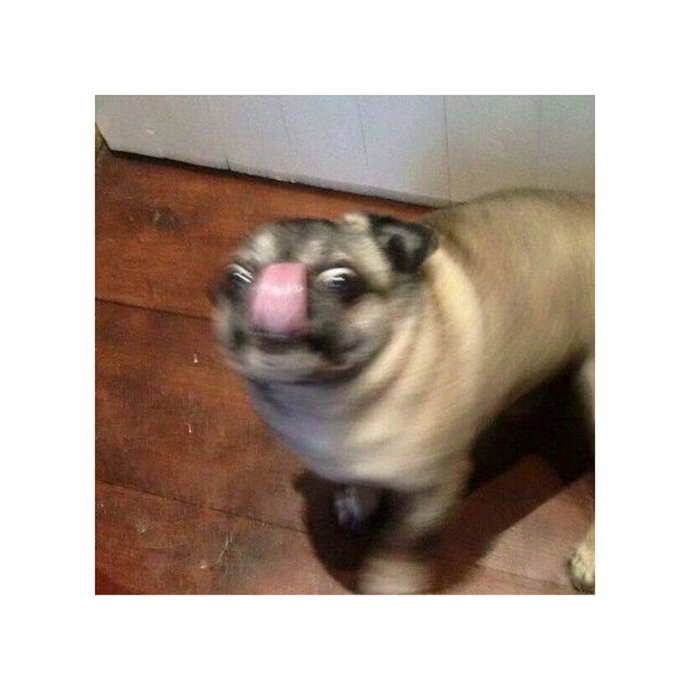 August Forever | Mike Stepanovic