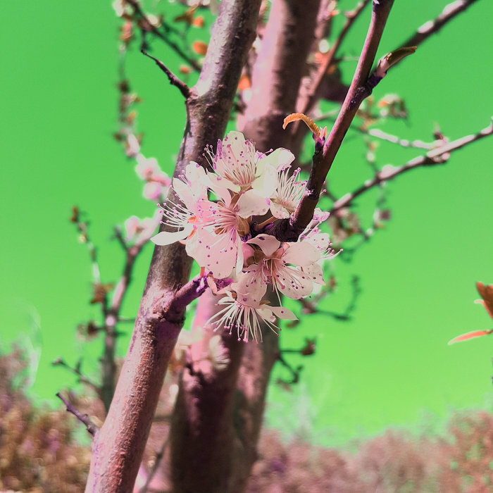 Transition | Jeremy Stokes