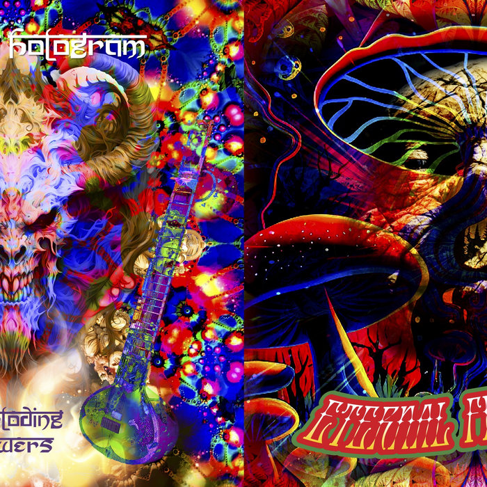 I/Exploding Flowers Split CD-R | Eternal Flashback/Infrared Hologram ...