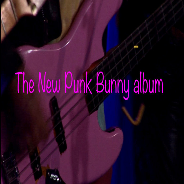 The New Punk Bunny album | punk bunny