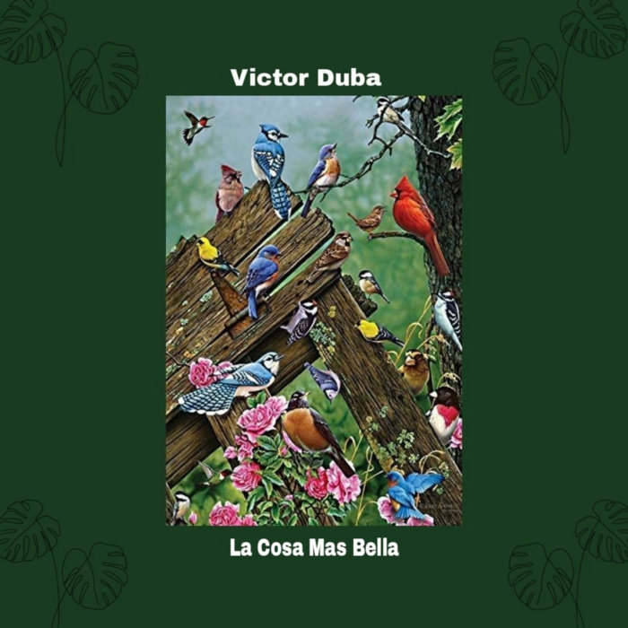 La Cosa Mas Bella | Victor Duba