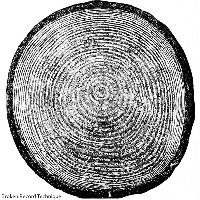 Broken Record Technique | Semantic Noise