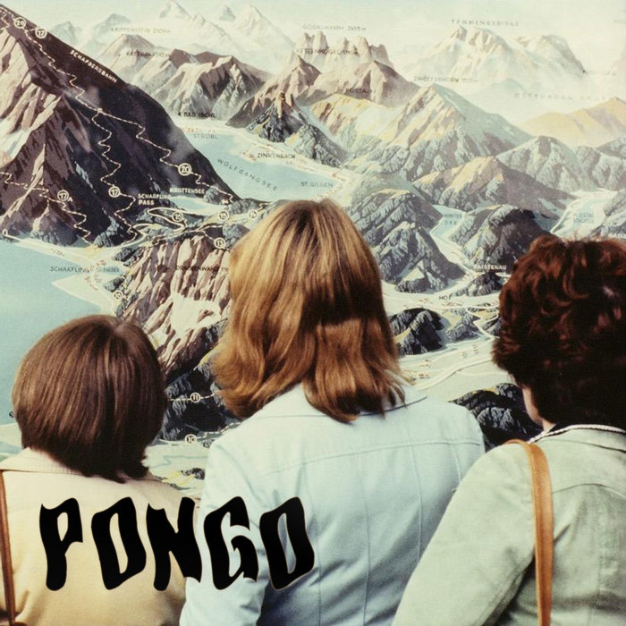 Pongo | Pongo