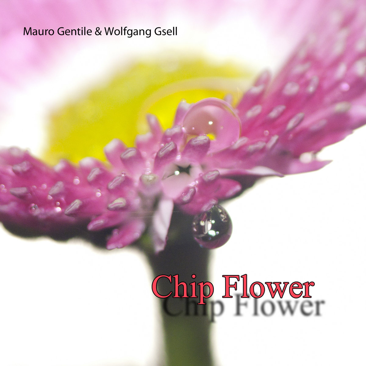 Chip Flower | Mauro Gentile & Wolfgang Gsell | Wolfgang Gsell