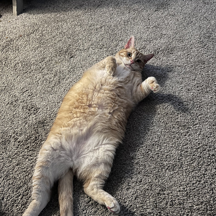 paralleling the unparallelable | Doug Rosenberg