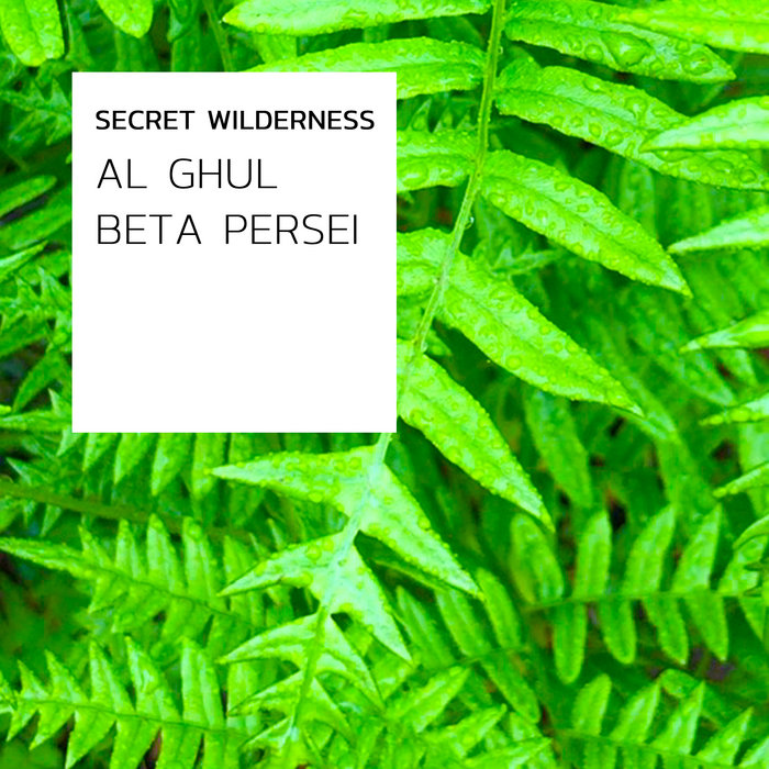 Al Ghul Beta Persei | Secret Wilderness