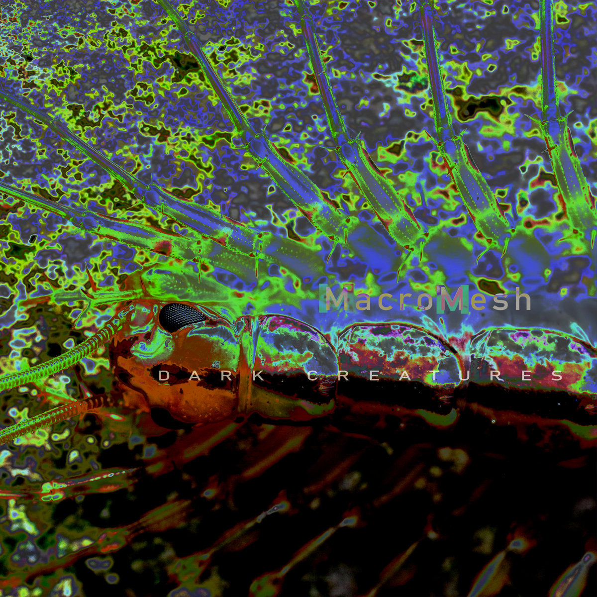 Dark Creatures | Macro Mesh