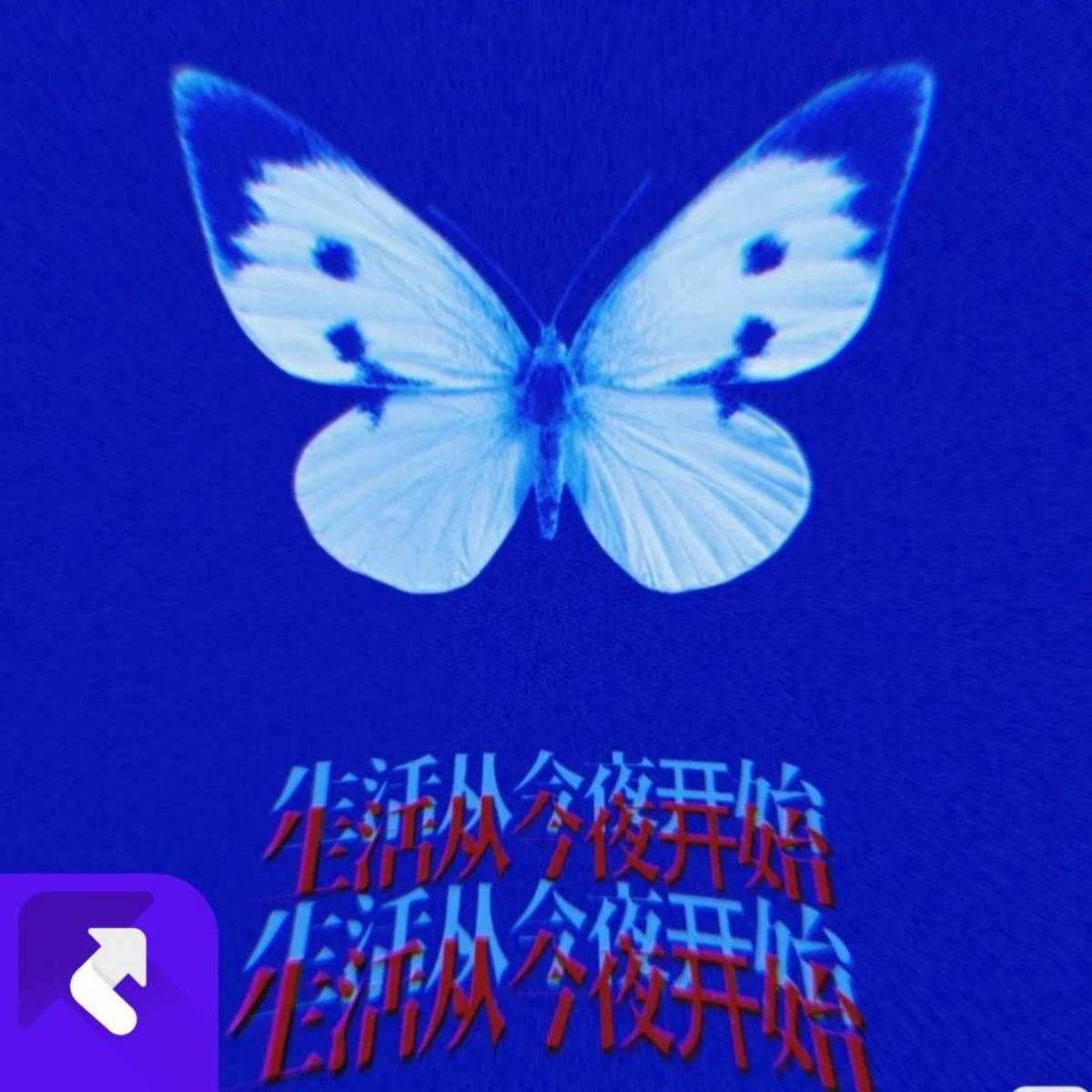 從今夜開始 | GQ | Showstart-release