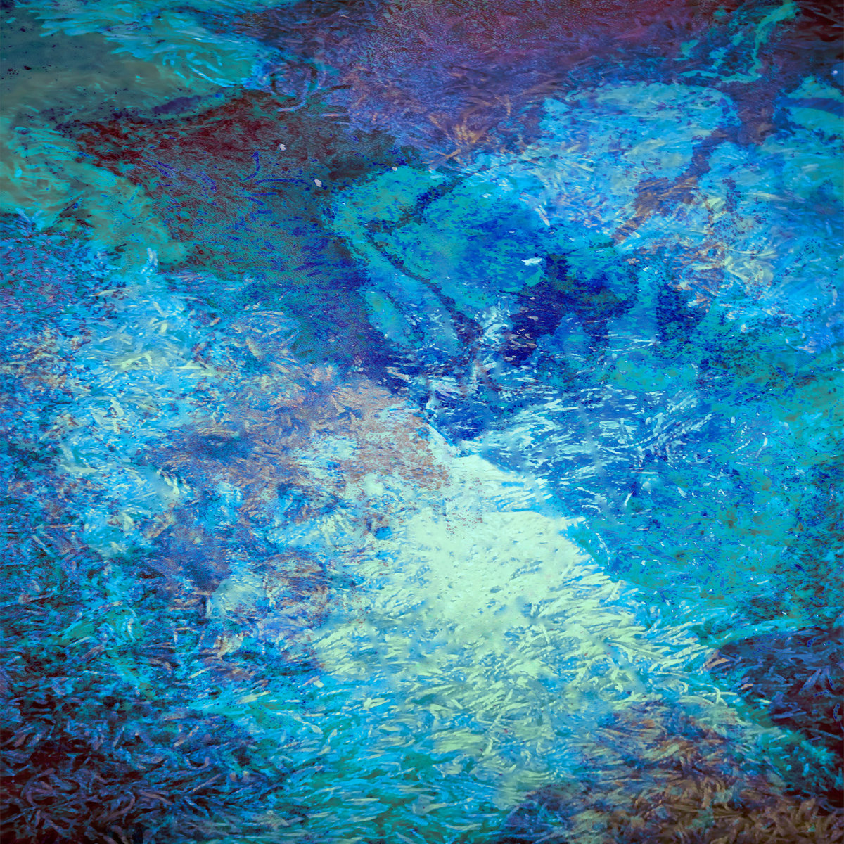 Plastical People | Plastical People