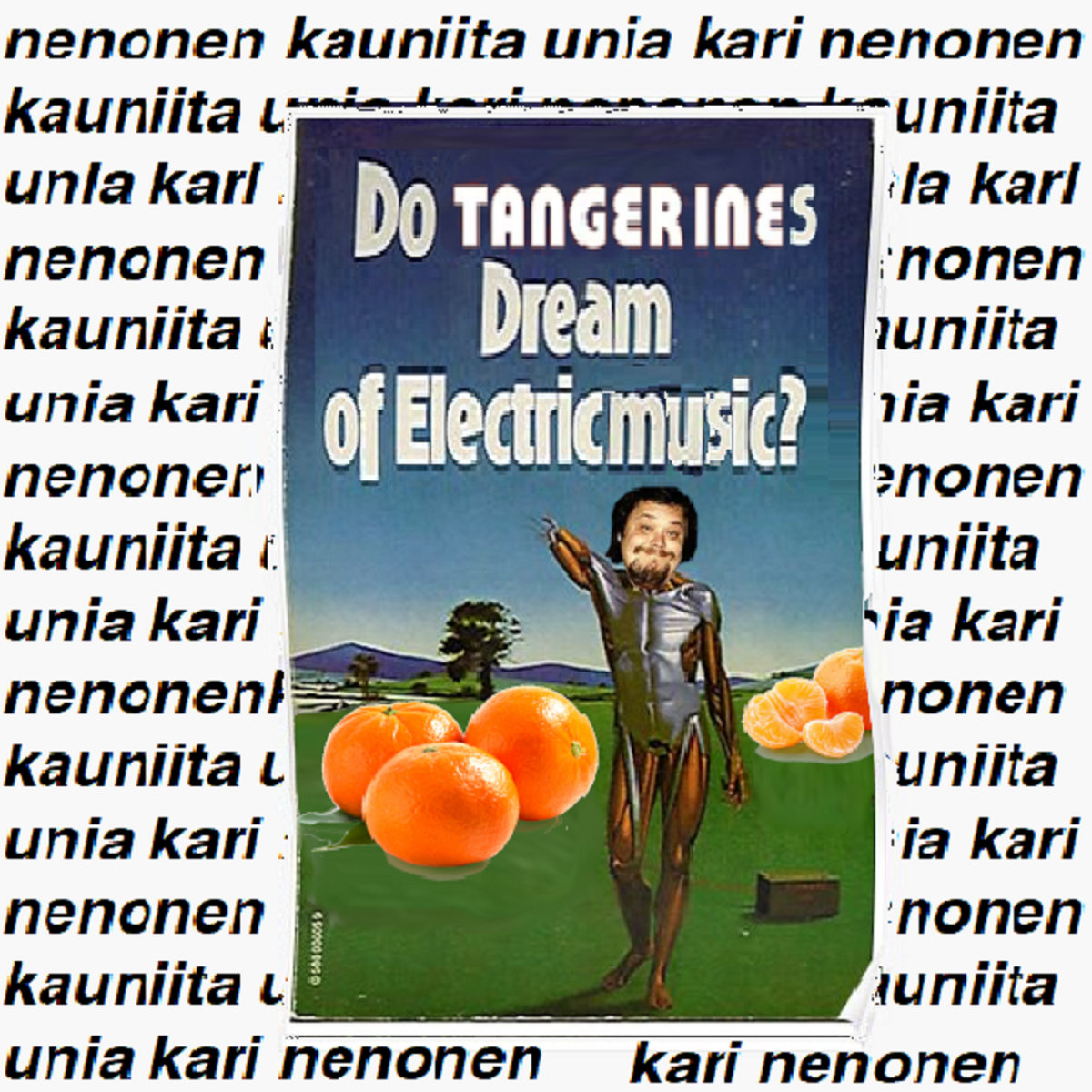do tangerines dream of electronic music | kauniita unia, kari nenonen ...