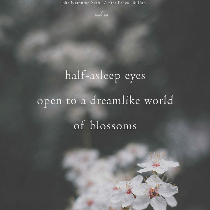 half-asleep eyes (Naviarhaiku611) | Andrulian