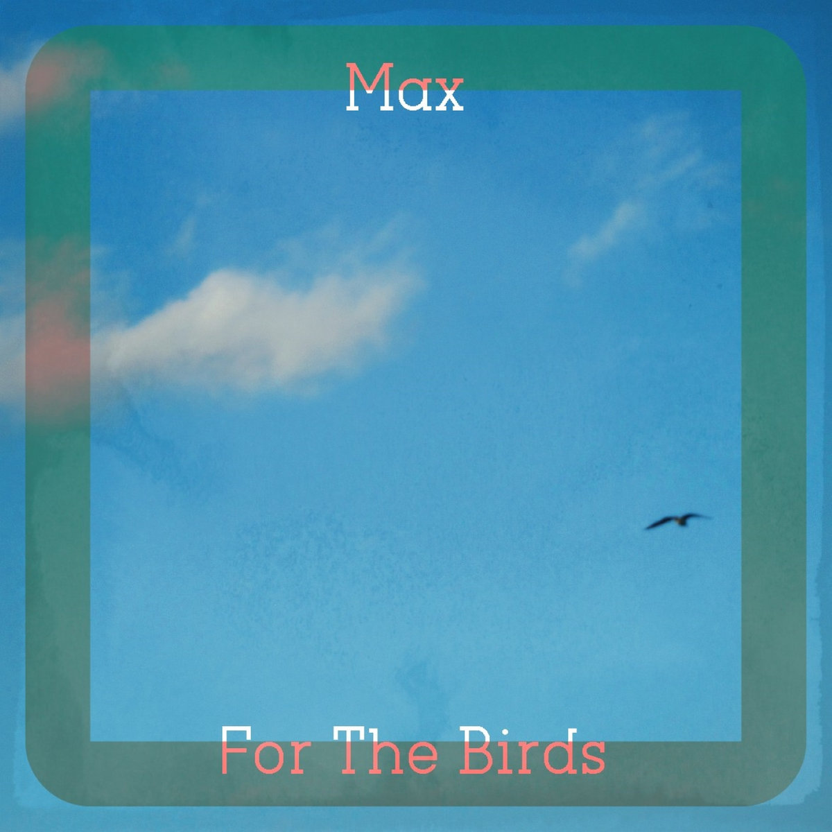 for-the-birds-max-sandor