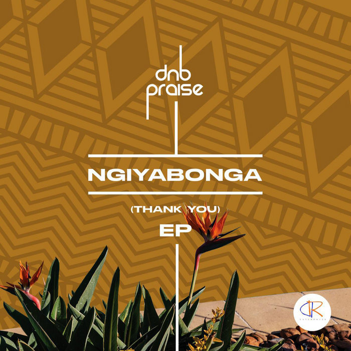 Ngiyabonga (Thank You) | dNb Praise