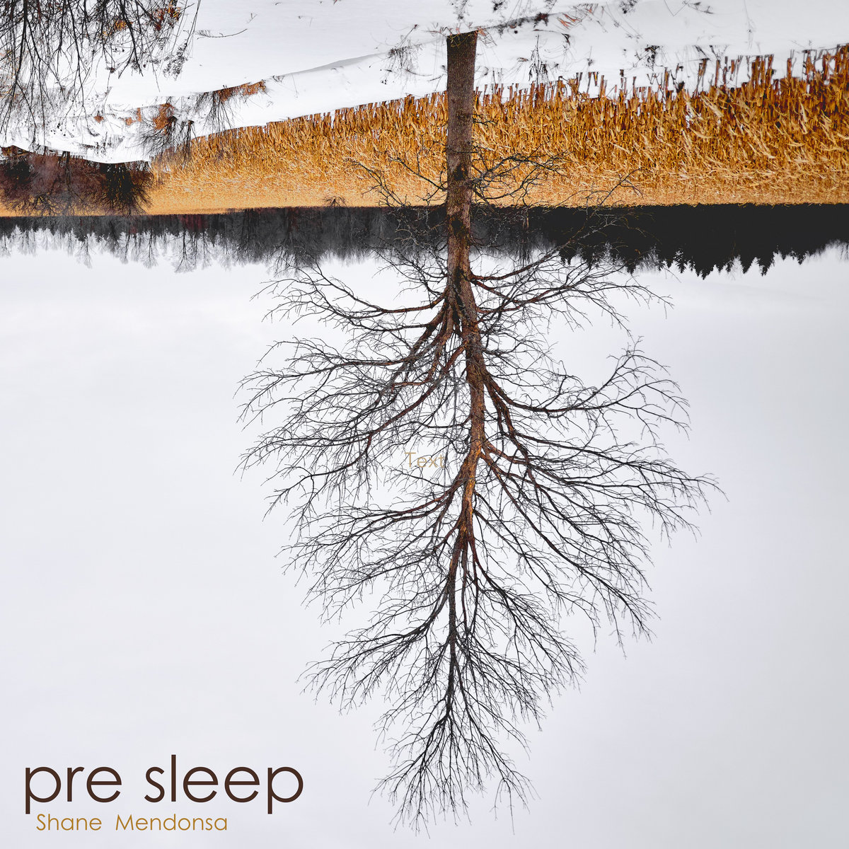 Pre Sleep | Shane Mendonsa