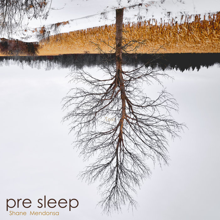 Pre Sleep | Shane Mendonsa