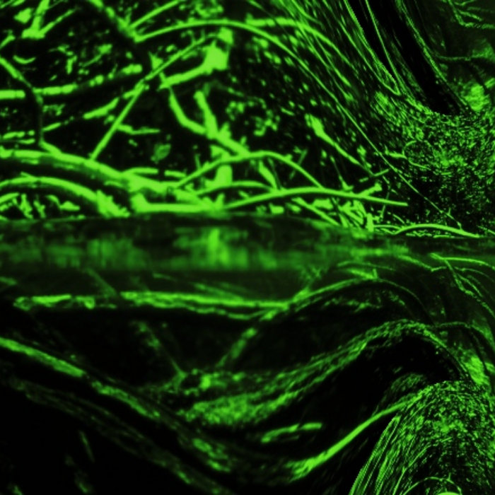 Strange Roots | Strange Roots