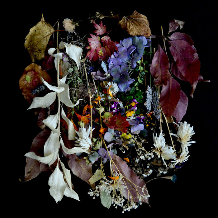 The Slow Sprint (Feat. Meredith Godreau) | PAWS