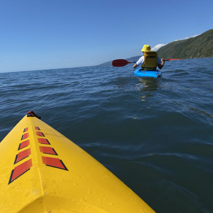 Revealing | Ben Quayle