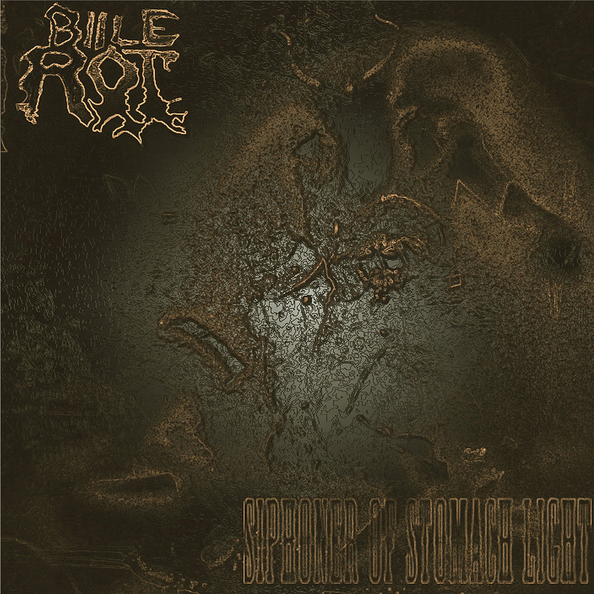SIPHONER OF STOMACH LIGHT | BIILE ROT