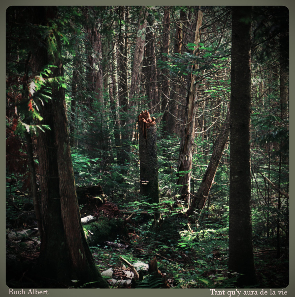 Tant qu'y aura de la vie | Roch Albert