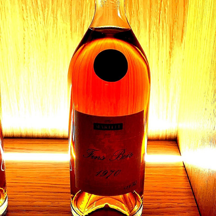 Teeth Bape | Octopantics