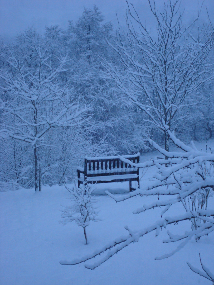 Grand Delusions Under Glass Ceilings | Mike Braudrick