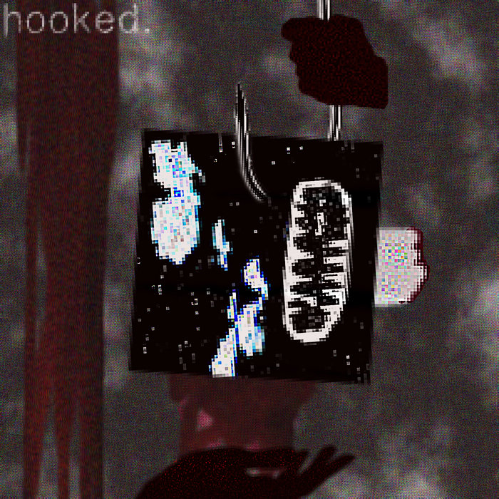 hooked. | skymvse