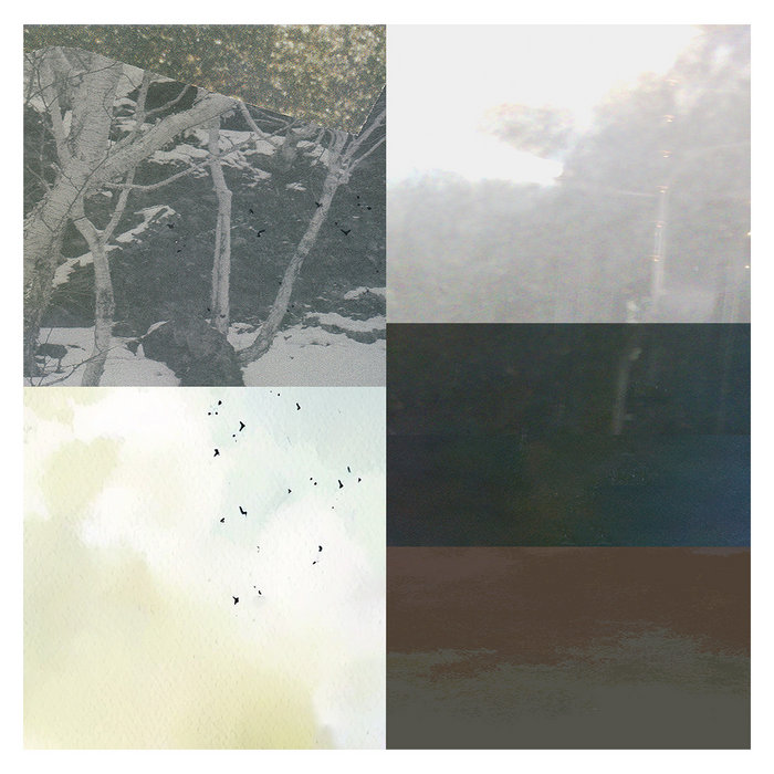 Dream Night | Peter Bark & Rhucle | Rhucle