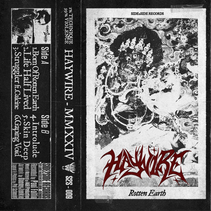 S2S-009: HAYWIRE - Rotten Earth | HAYWIRE | Side2Side Records