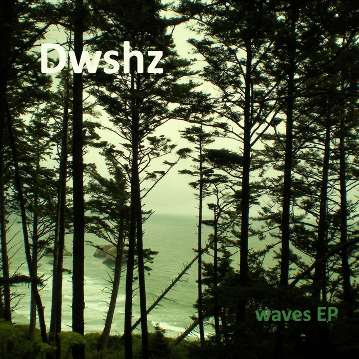 Waves I(tape) | Dwshz | Splitting Sounds Records