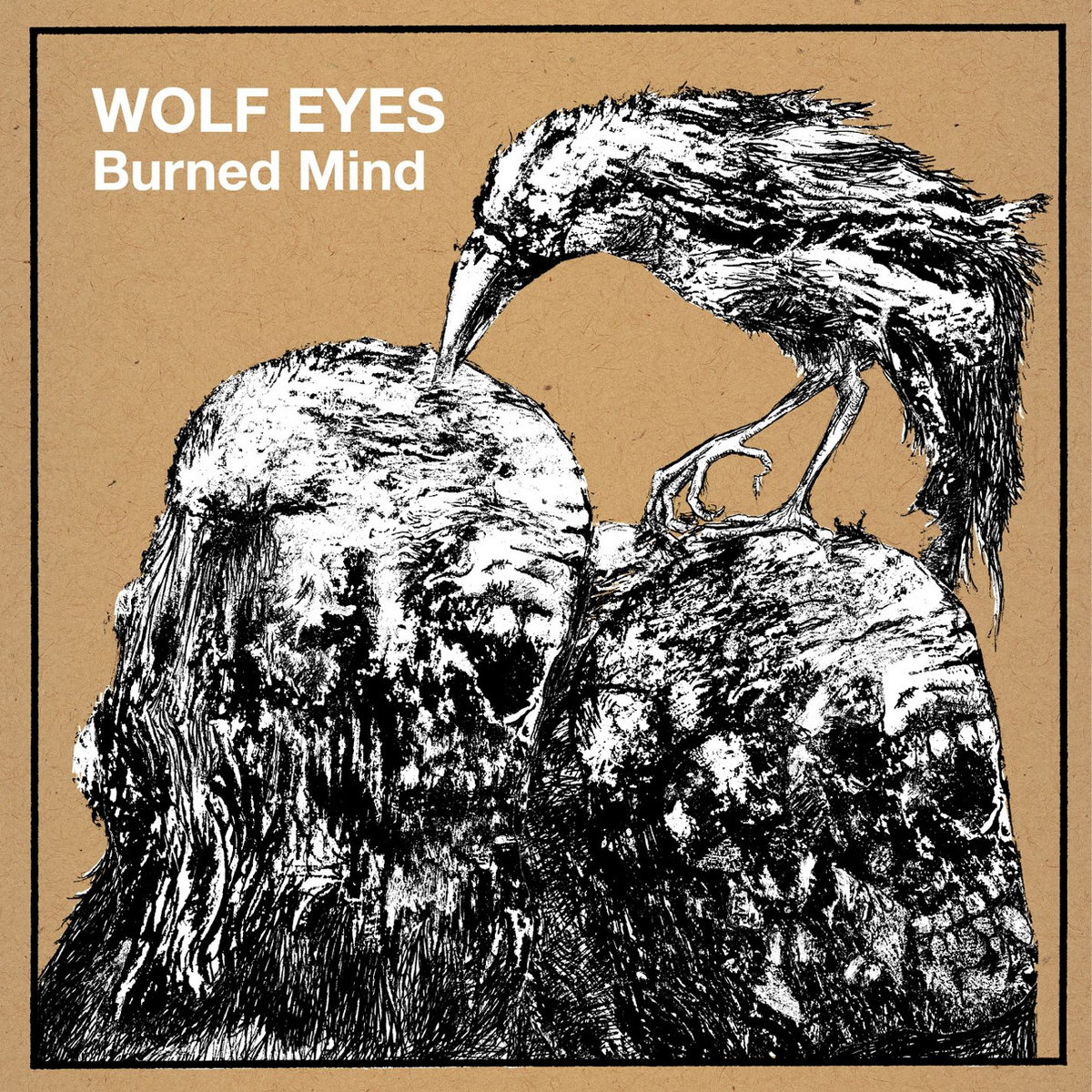 Wolf Eyes Band