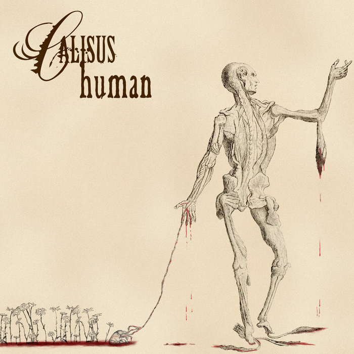 Human | Calisus